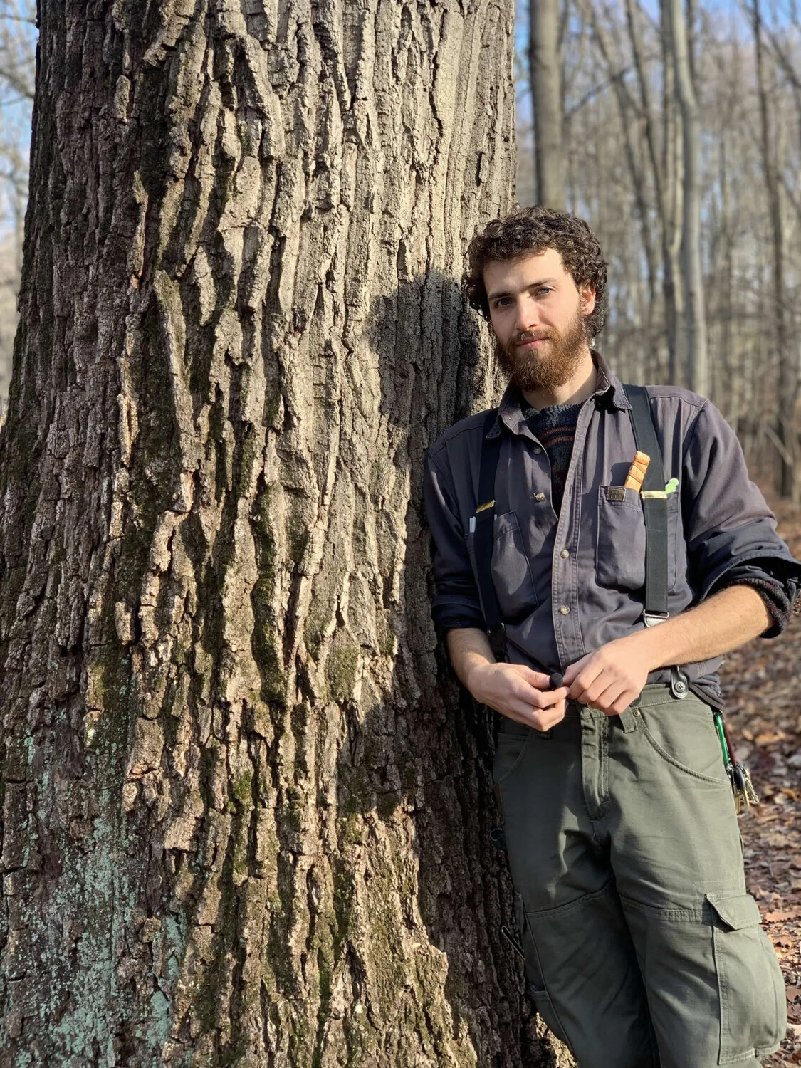 Tree Identification with Levi O'Brien at Hortus Arboretum and Botanical ...