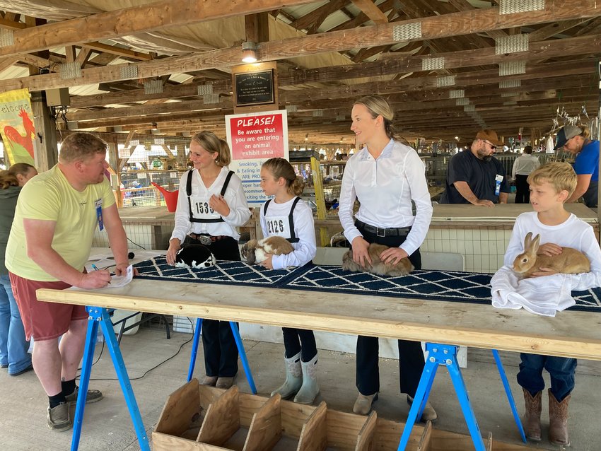 4-Hers compete in rabbit showmanship | The Reporter (Catskills Today)
