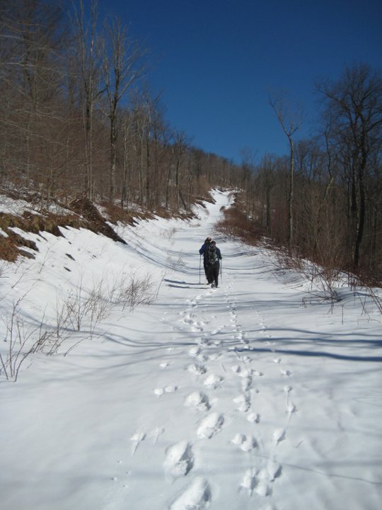 Plattekill State Forest | The Reporter (Catskills Today)