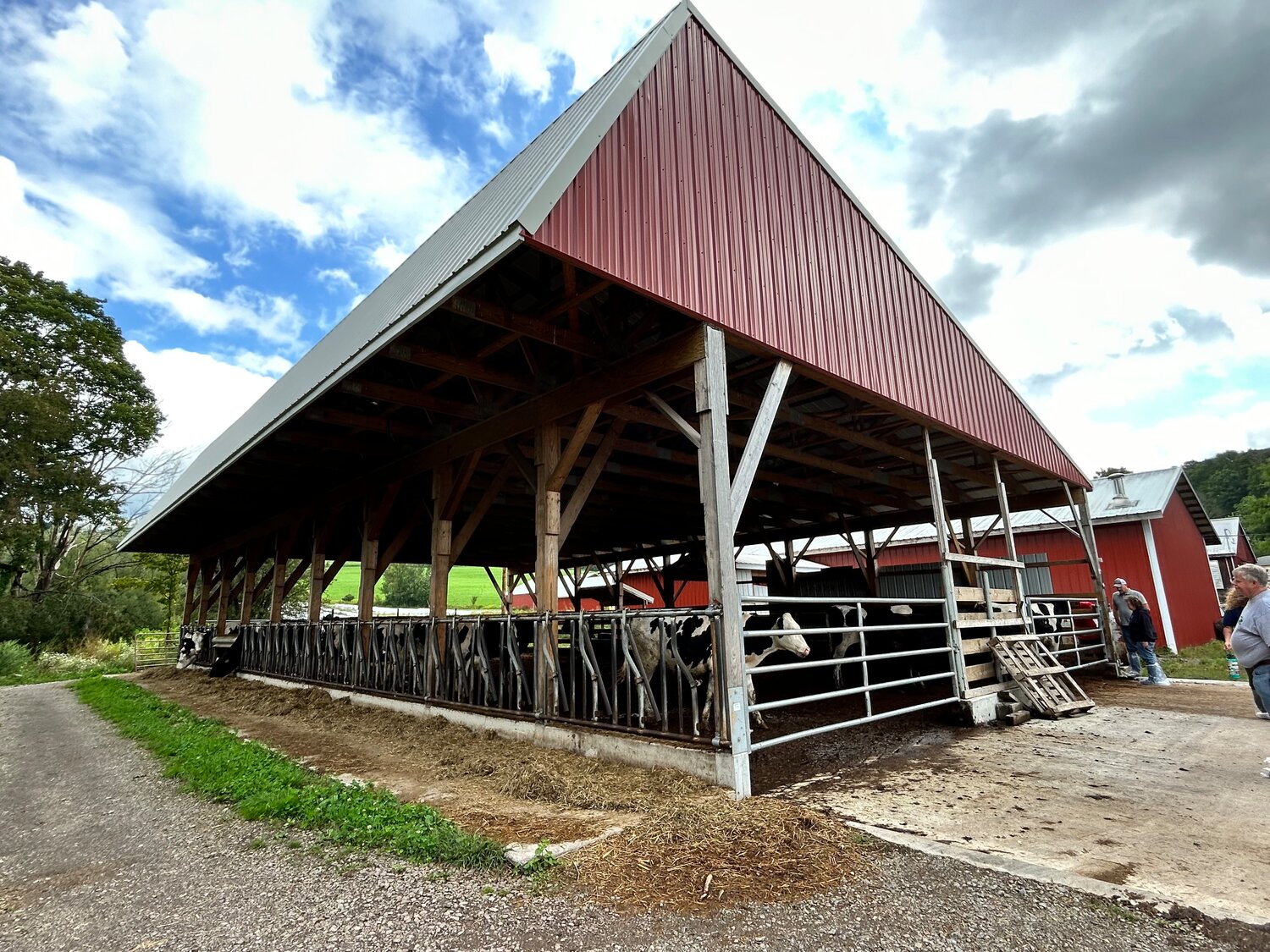 Van-Tag Farm: quality milk and perpetuity of farming | The Reporter ...