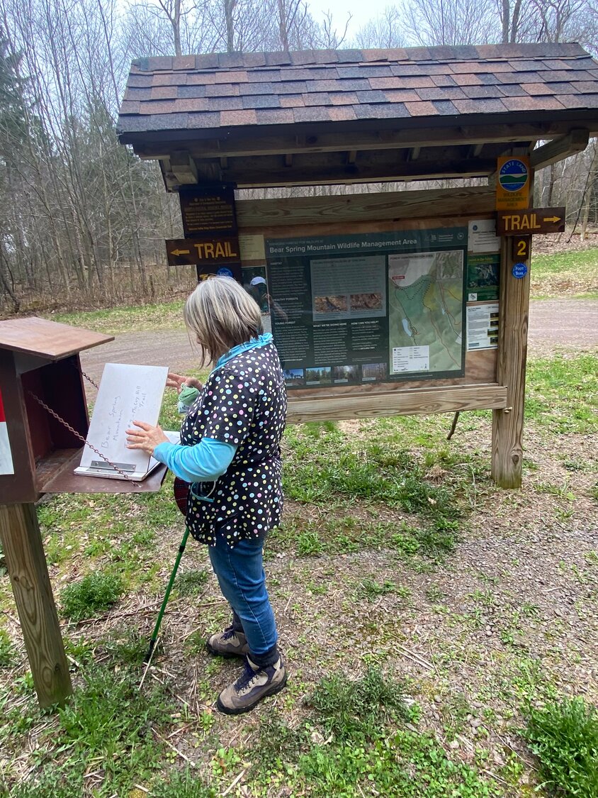 Hiking on Bear Spring Mountain | The Reporter (Catskills Today)