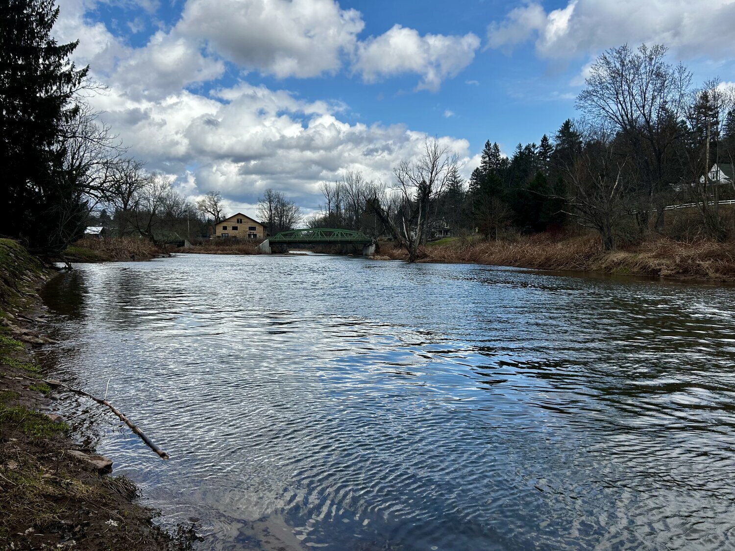 River invaders: DA students study invasive crayfish impact | The ...