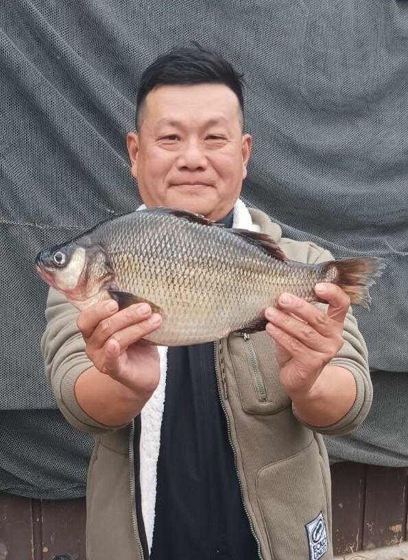 New State Record: White Perch | The Reporter (Catskills Today)