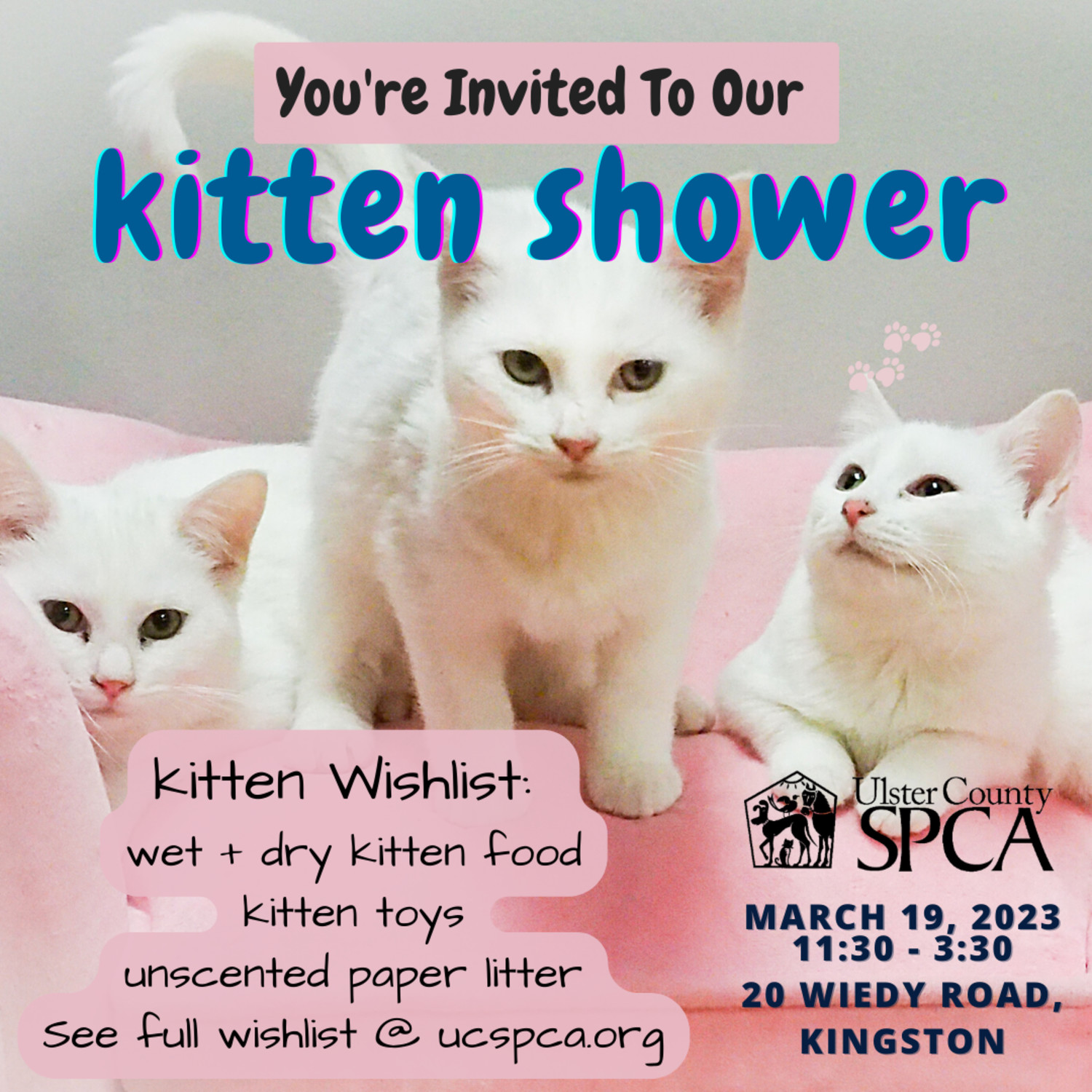 UCSPCA Spring Kitten Shower | Southern Ulster Times