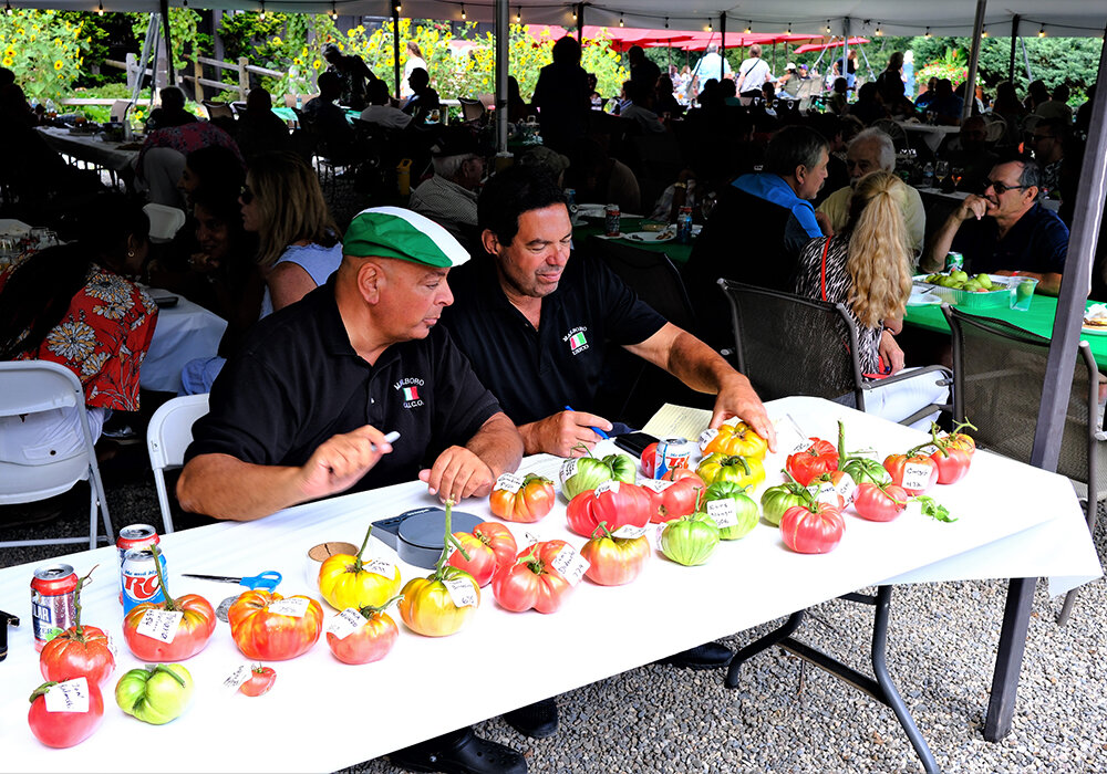 UNICO holds annual tomato contest | My Hudson Valley