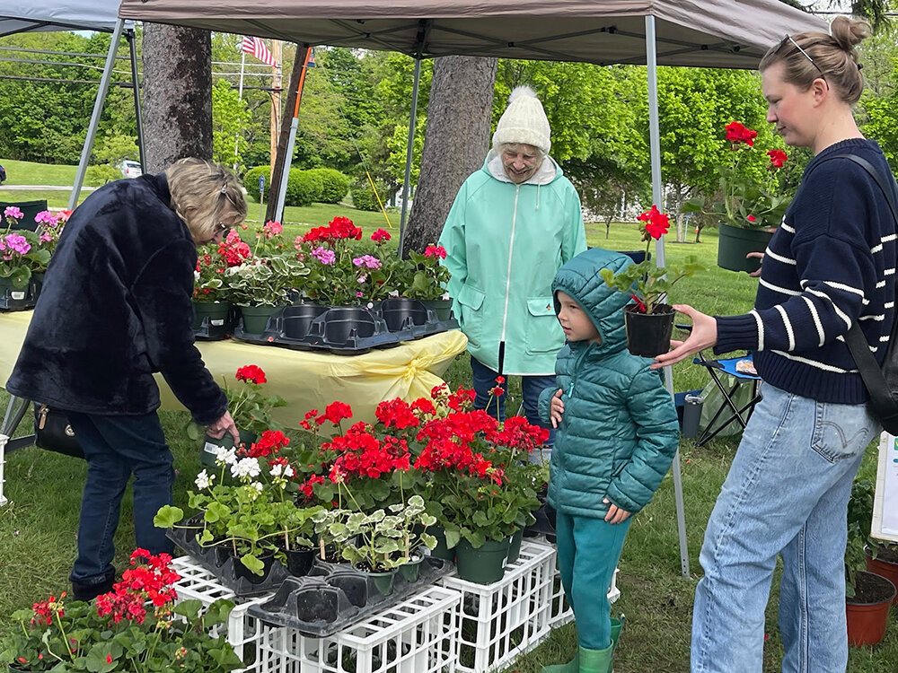 Plenty of plants for everyone! | My Hudson Valley