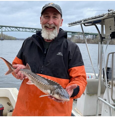 From Prehistory to Preservation: The Story of Sturgeon in the Hudson ...