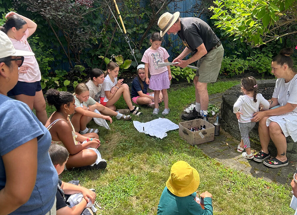 Everything butterflies at the Highland Falls Library | My Hudson Valley