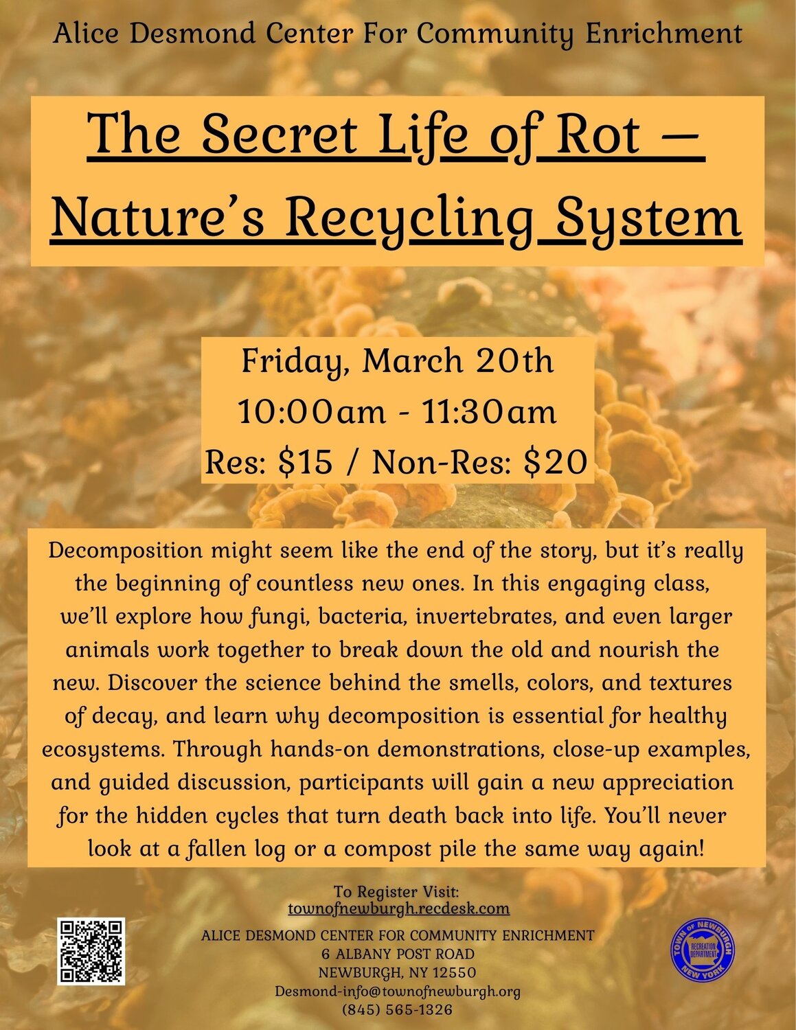 The Secret Life of Rot - Nature's Recycling System | Mid Hudson Times