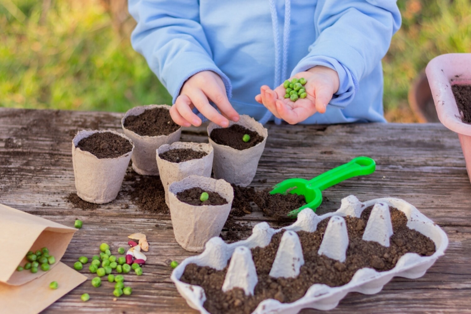 Earth Day Seed Planting at Mid-Hudson Discovery Museum | Southern ...