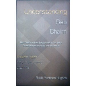 The Kosher Bookworm: The Brisker method: a quality approach to Torah ...