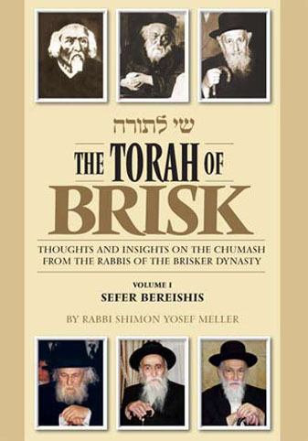 The Kosher Bookworm: The Brisker method: a quality approach to Torah ...