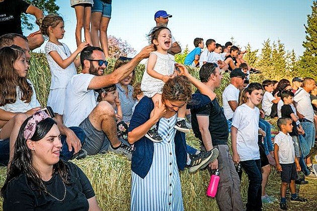 7 fun facts about celebrating Shavuot in Israel | The Jewish Star | www ...