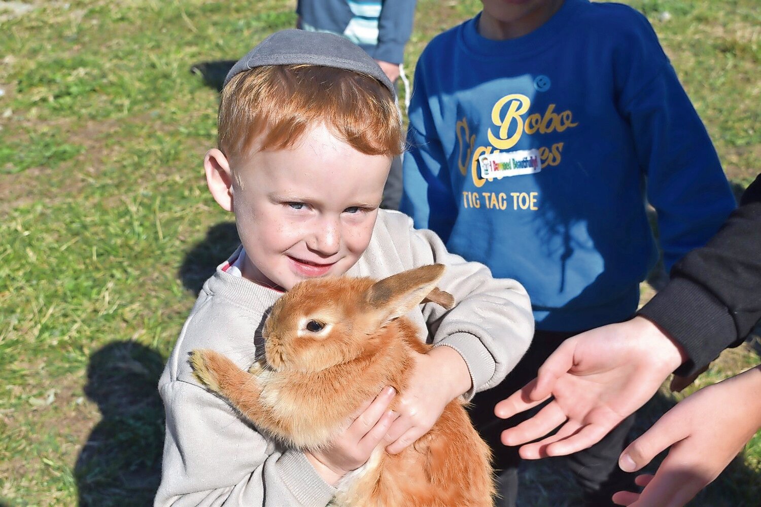 Darchei petting zoo | The Jewish Star | www.thejewishstar.com