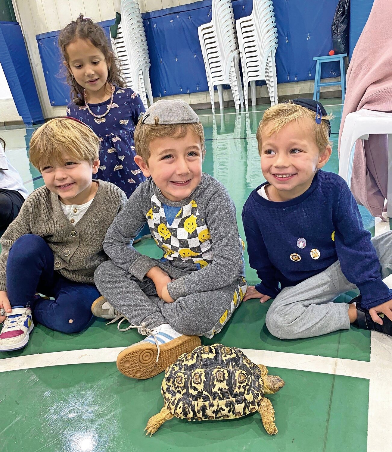 Lev Chana animal fun | The Jewish Star | www.thejewishstar.com