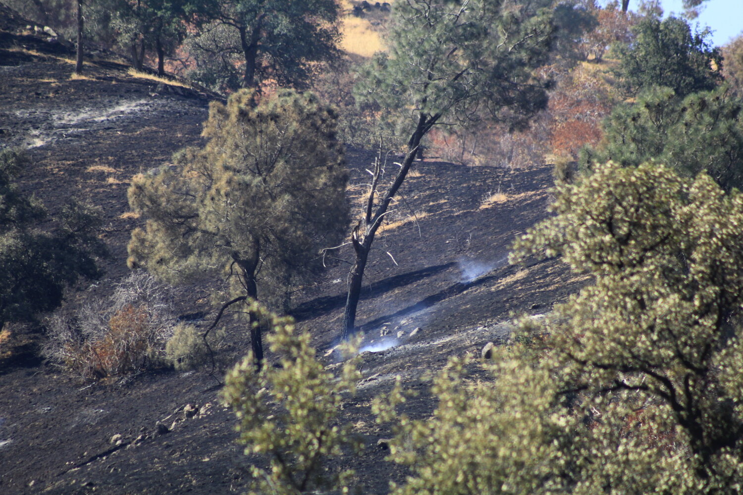 Richbar Fire Update: Containment at 25% as Crews Secure Lines Above Hwy ...