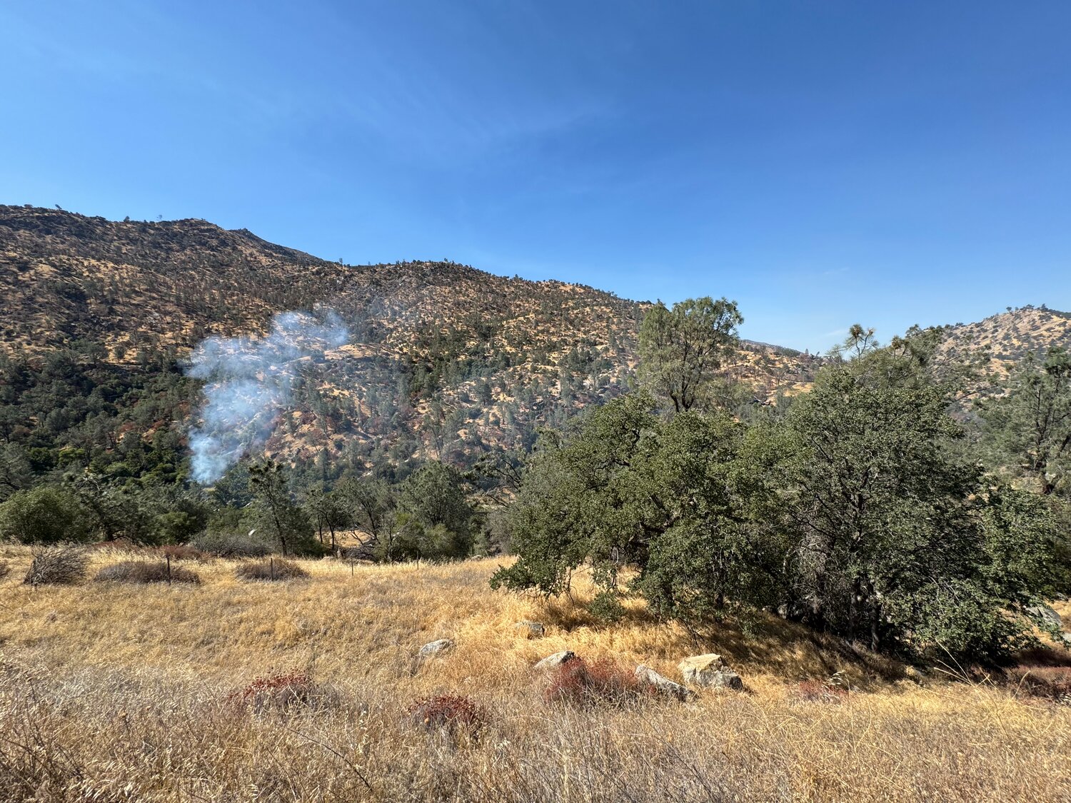 Breaking News: Vegetation Fire Reported in Kern River Canyon - Kern ...