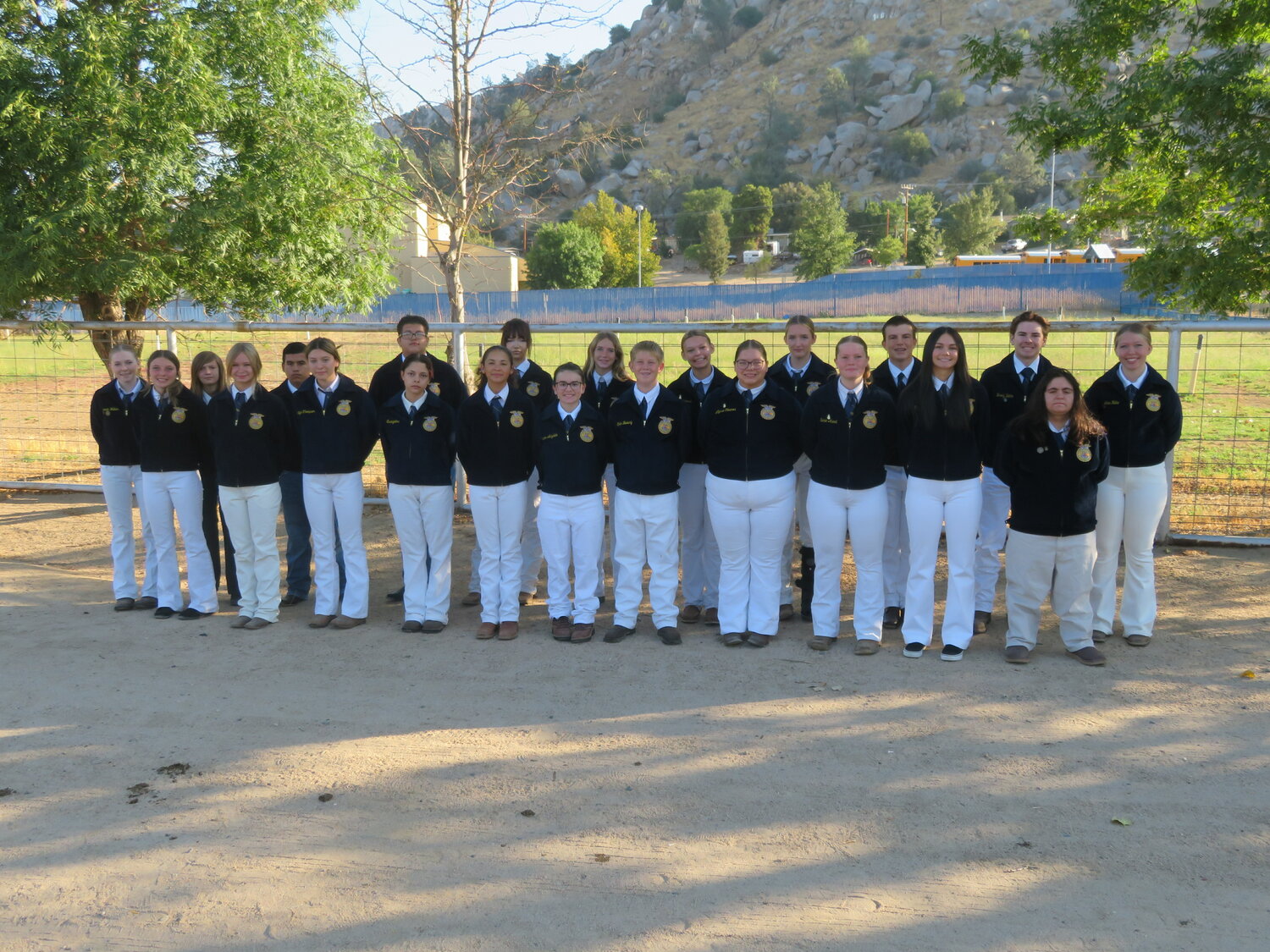 FFA summer showdown reveals showmanship abilities - Kern Valley Sun
