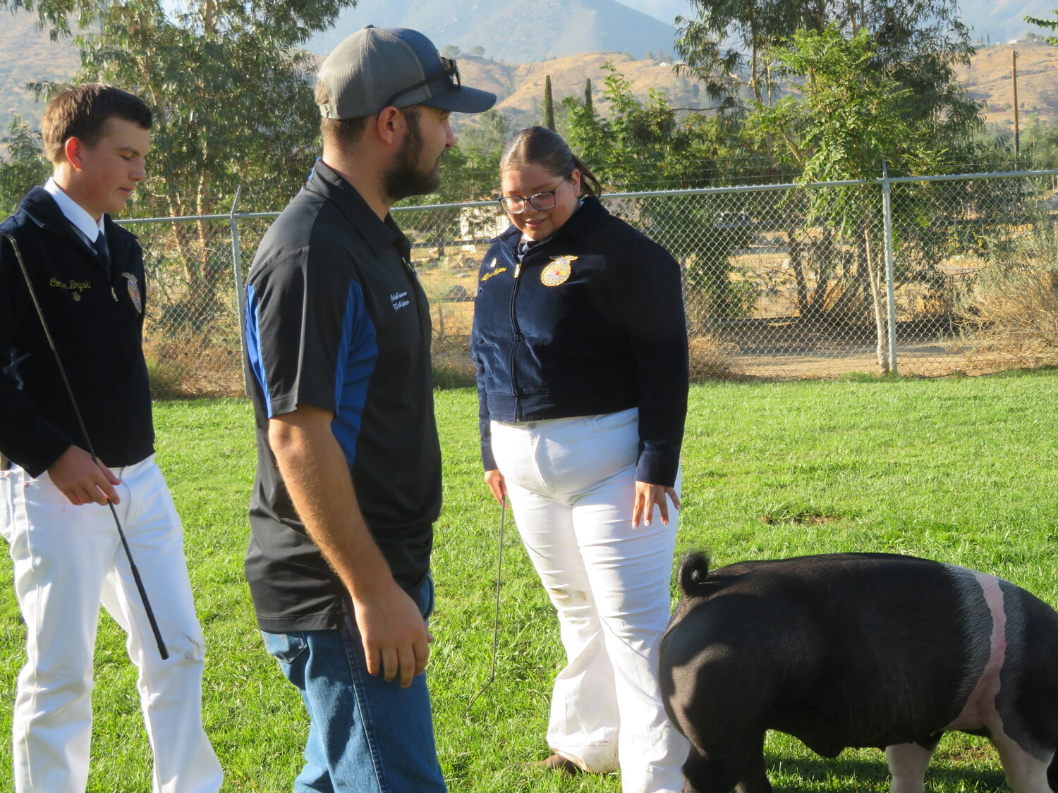 FFA summer showdown reveals showmanship abilities - Kern Valley Sun