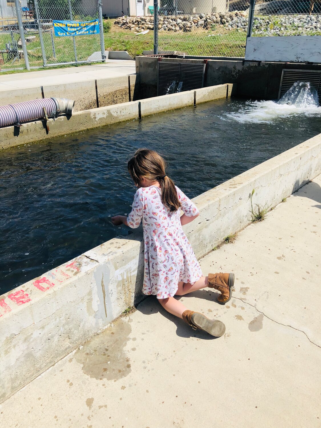 Historic Kern River Hatchery Set to Reopen in 2027 After $7 Million ...