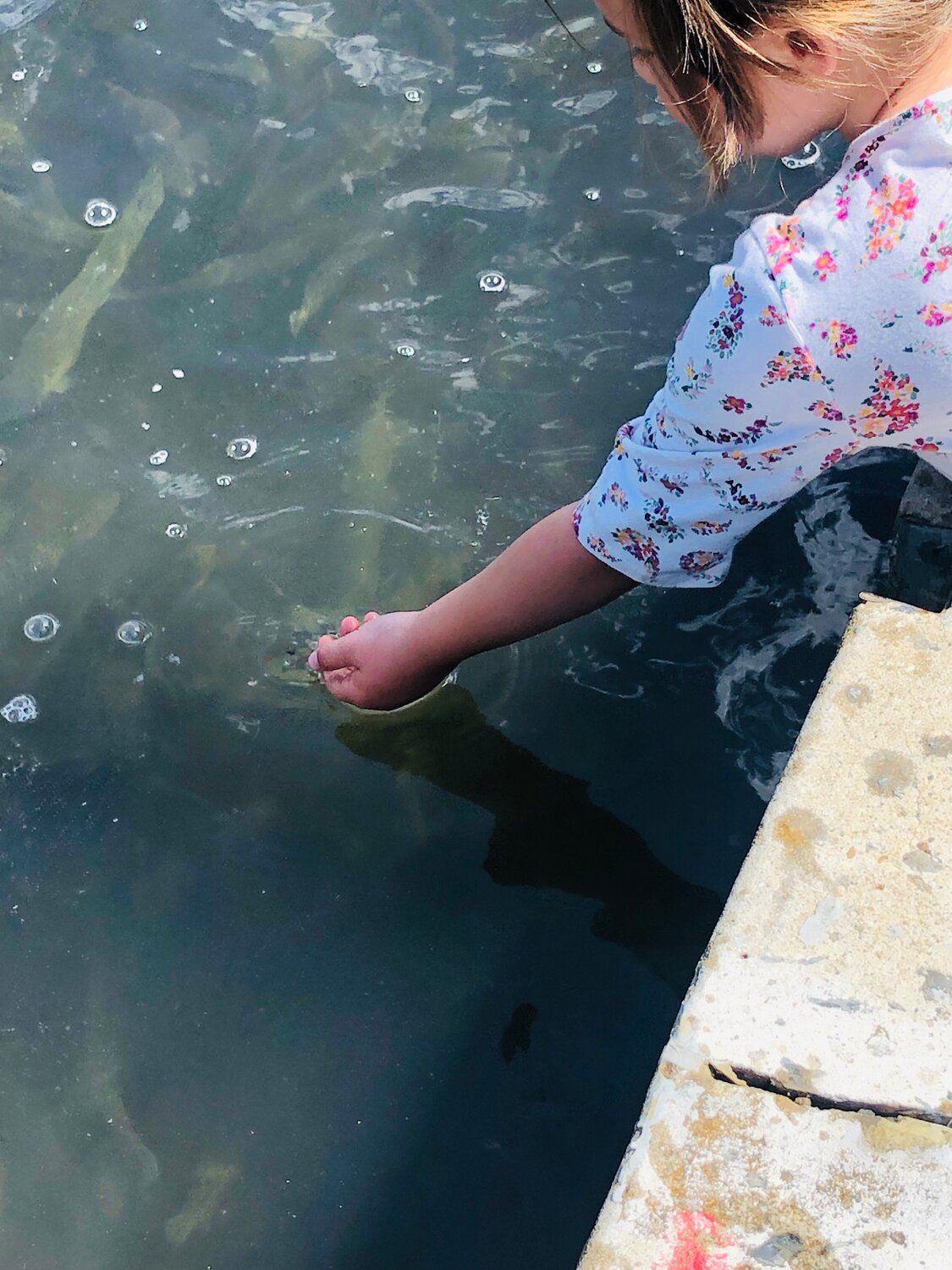 Historic Kern River Hatchery Set to Reopen in 2027 After $7 Million ...