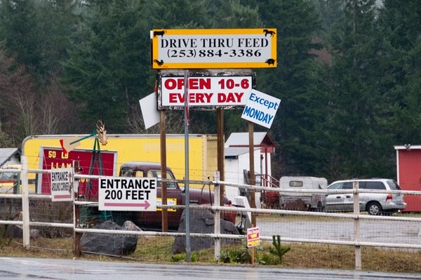 Drive Thru Feed: 13 years of service on the Key | Key Peninsula News