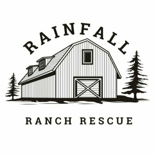 Rainfall Ranch Rescue's Inaugural Community Day | Key Peninsula News