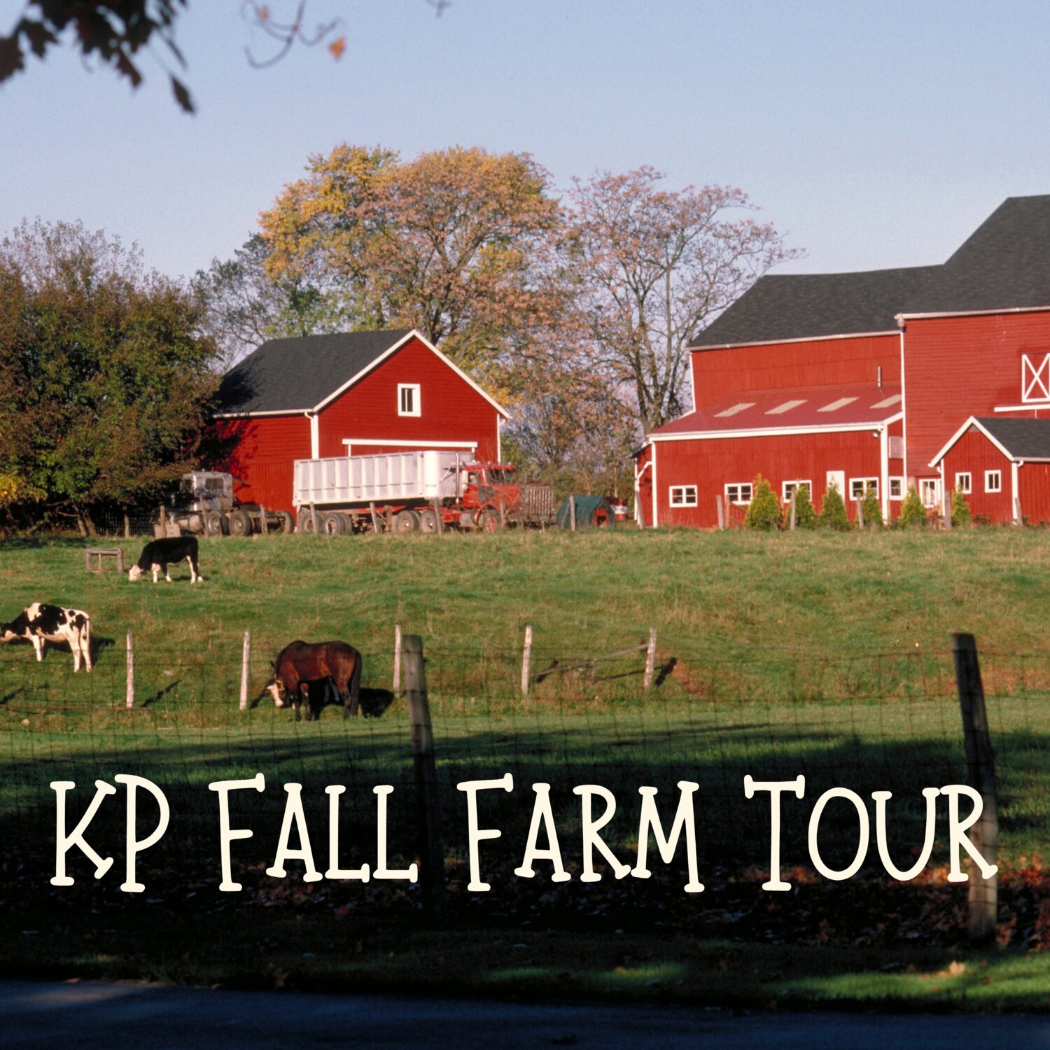 KP Fall Farm Tour | Key Peninsula News