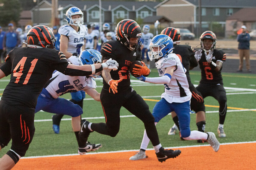 Sports | The Daily Chronicle