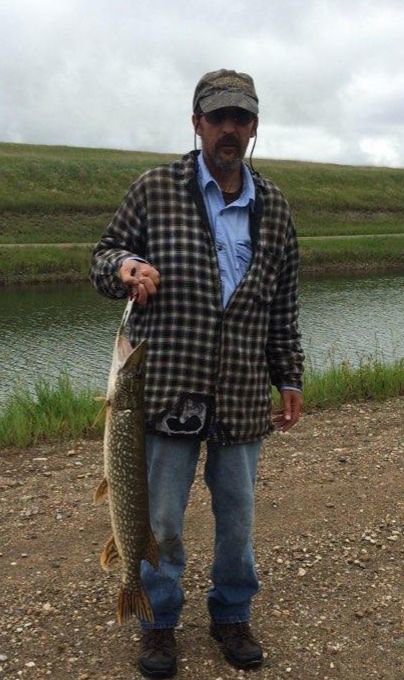 William "Bill" Estep | The Daily Chronicle