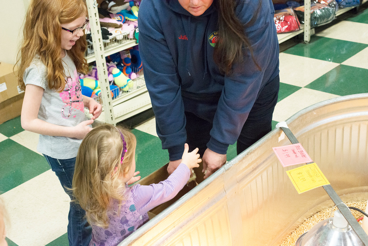 The Farm Store in Chehalis Is Flush With Spring Chicks | The Daily ...