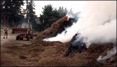 Smoldering compost, bark pile sends smoke high | The Daily Chronicle