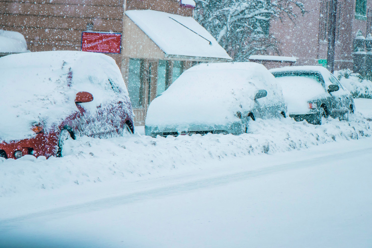 Photos: Winter Storms Bury Lewis County in Snow | The Daily Chronicle