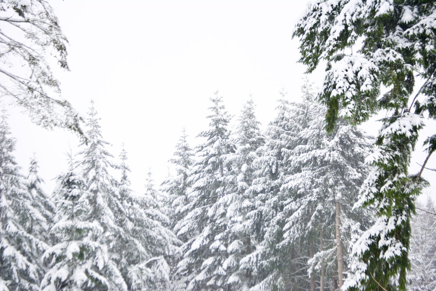 Weather Service: More Snow on the Way for Lewis County This Week; Icy ...