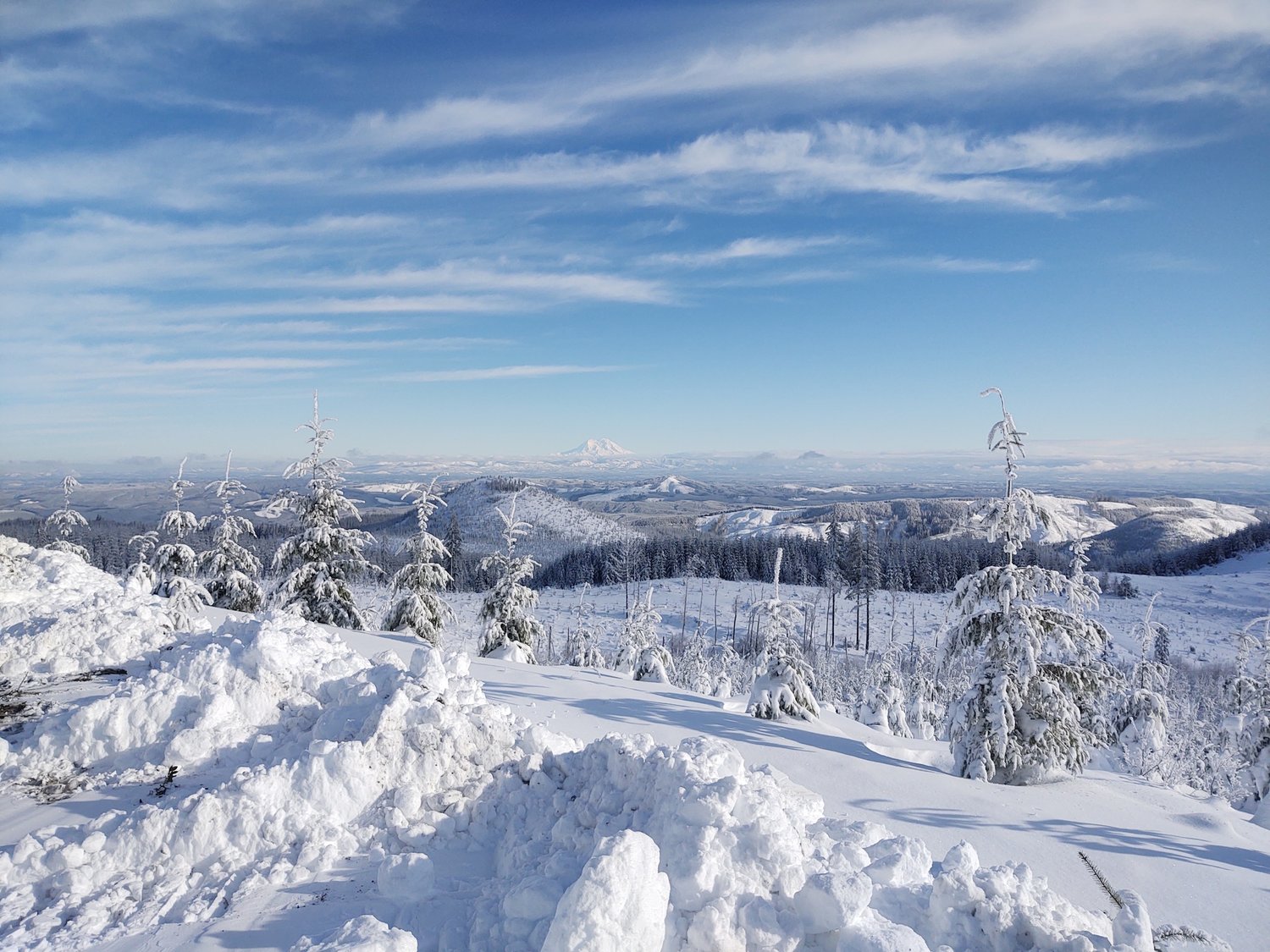 Readers’ Lens: Lewis County Area Snow Photos From Locals | The Daily ...