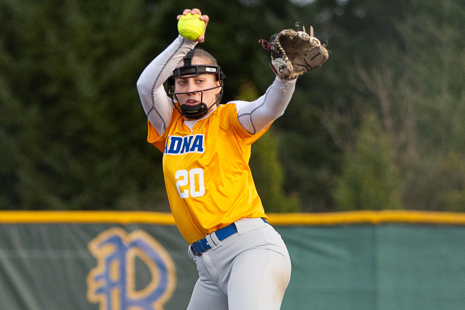 2B Softball Preview: Pirates Poised to Run Through District 4 Softball ...