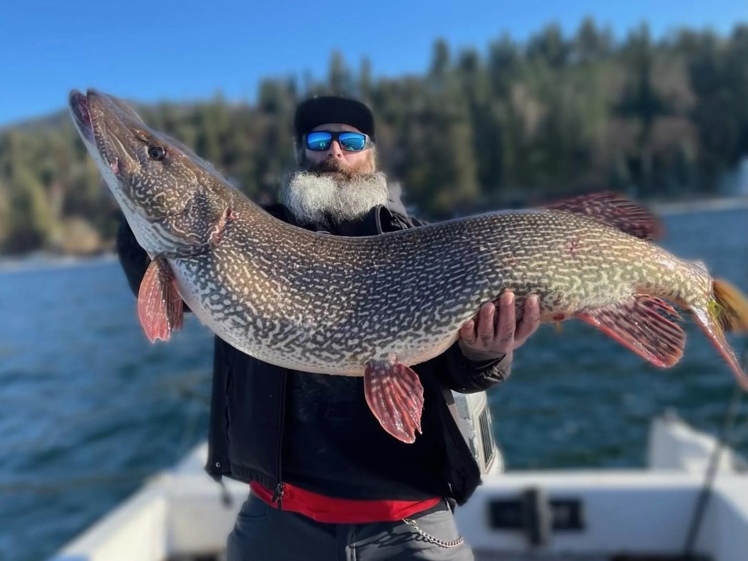 New State Record Northern Pike Caught in North Idaho's Hayden Lake ...