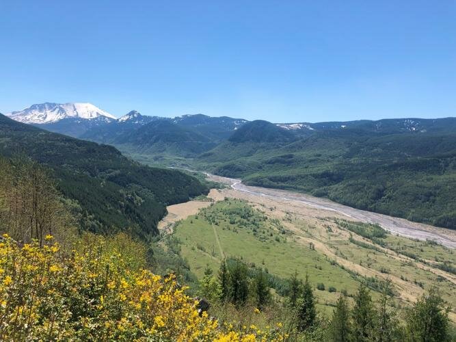 North Fork Toutle River Shows Signs of Natural Recovery 43 Years After ...