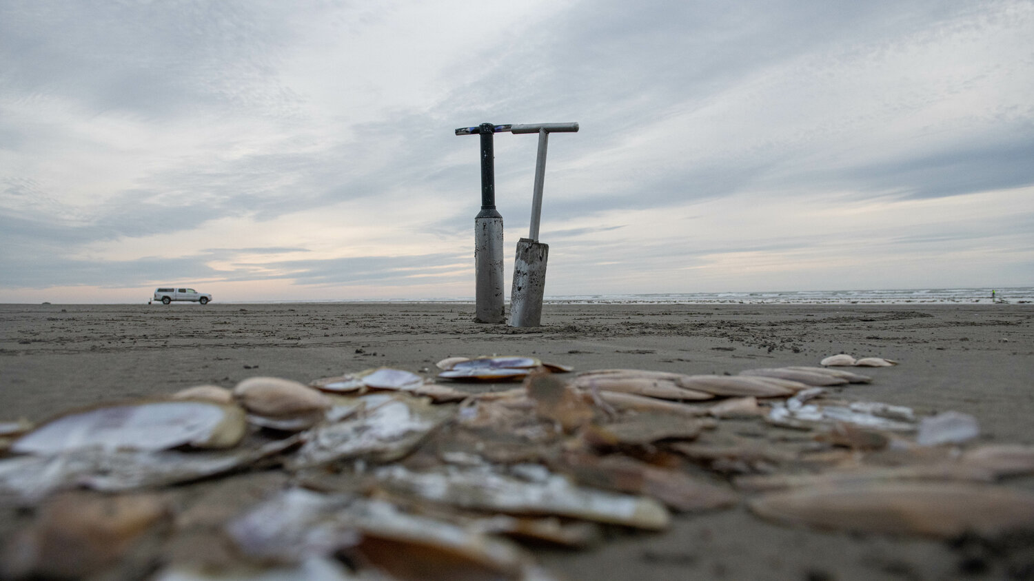 WDFW approves seven more days of coastal razor clam digs, beginning Jan ...