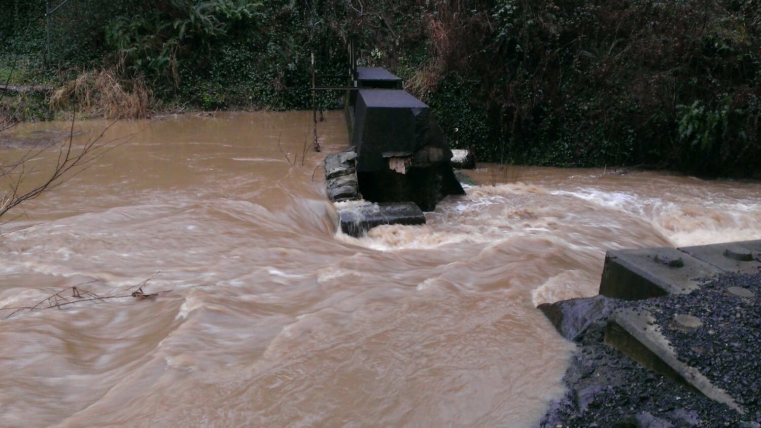 Chehalis Basin Strategy in review: Replacement dam on Mill Creek still ...