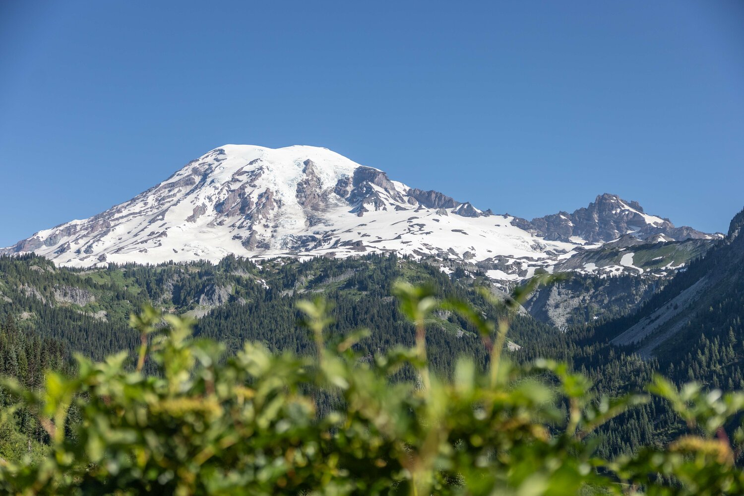 New study finds 20 different Native names for Mount Rainier | The Daily ...