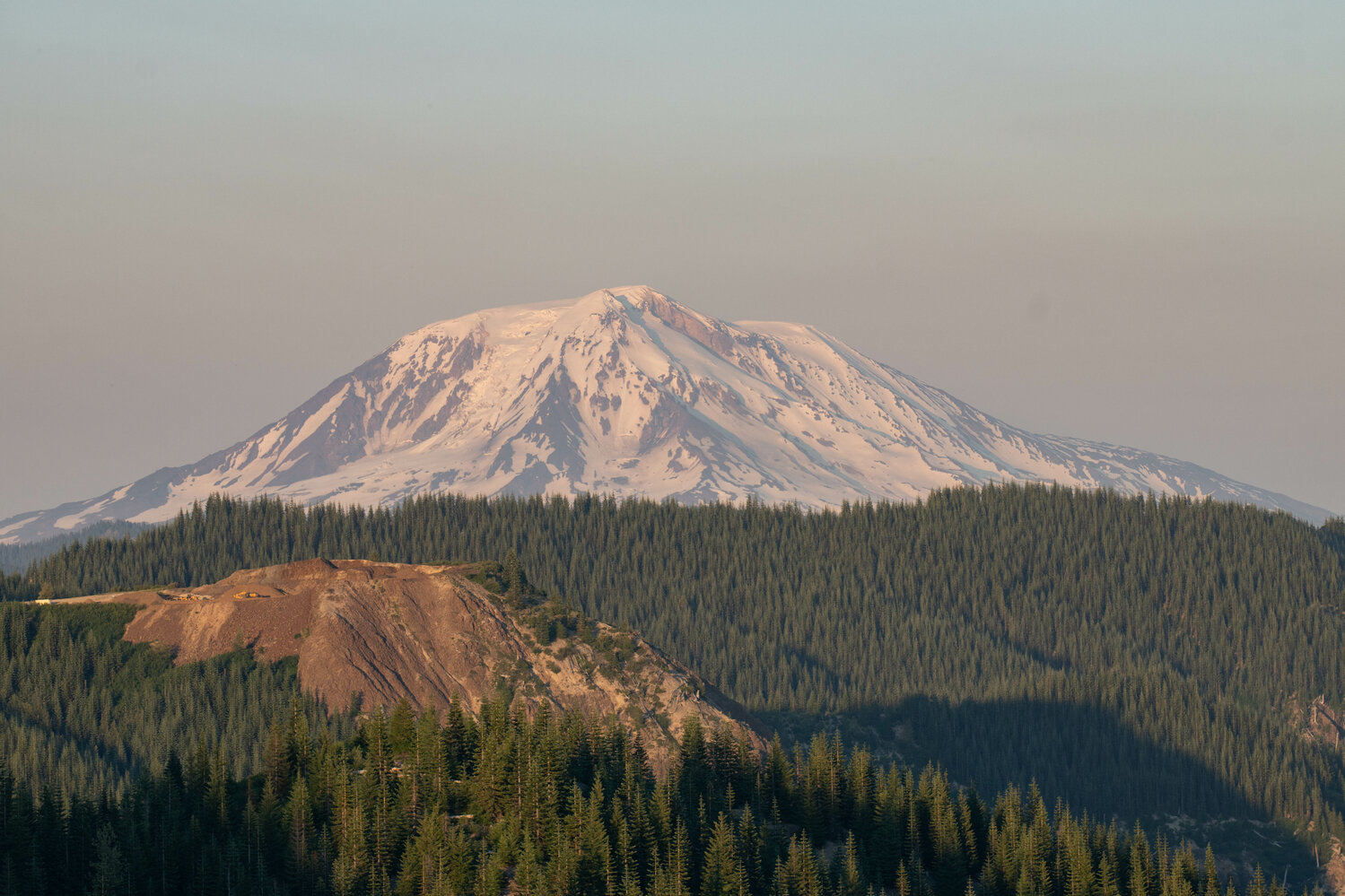 No commercial huckleberry season this year near Mount Adams | The Daily ...