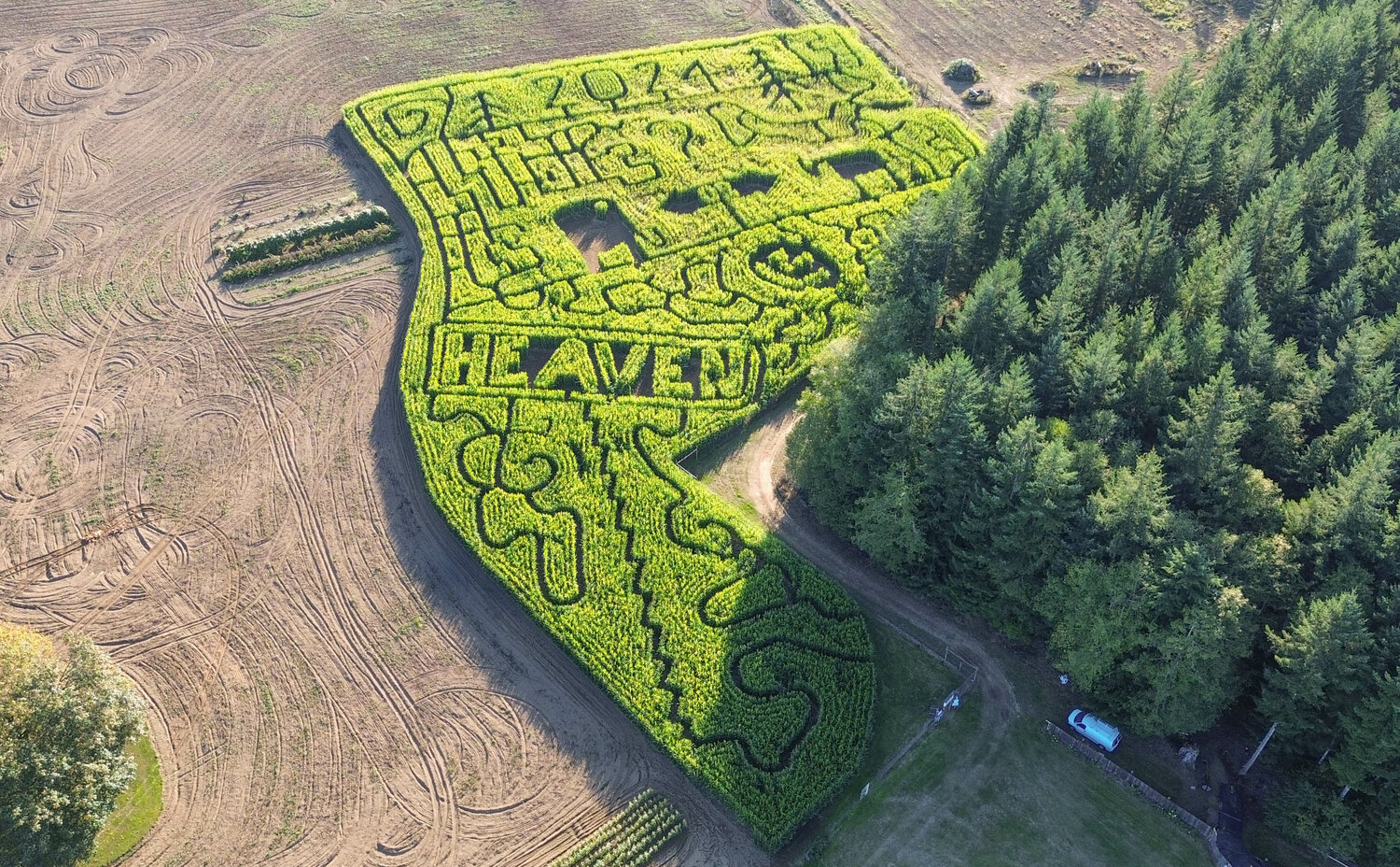 In focus: The Huntting’s Pumpkin and Haunted Forest offers a massive ...