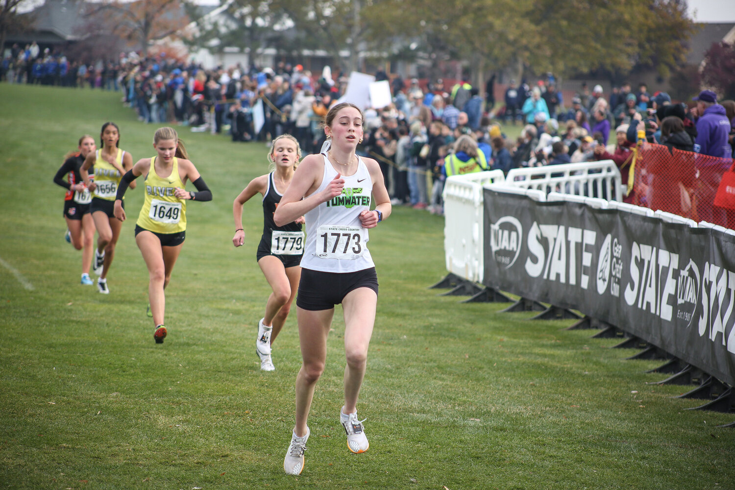 T-Birds, Beavers each earn top 40 runner at state cross country meet ...