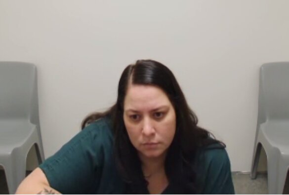 Former Oakview Elementary School PTO president charged with felony ...