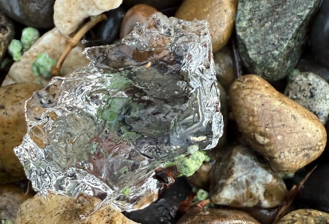 Oakville blobs return? Resident says she and neighbors saw mysterious ...