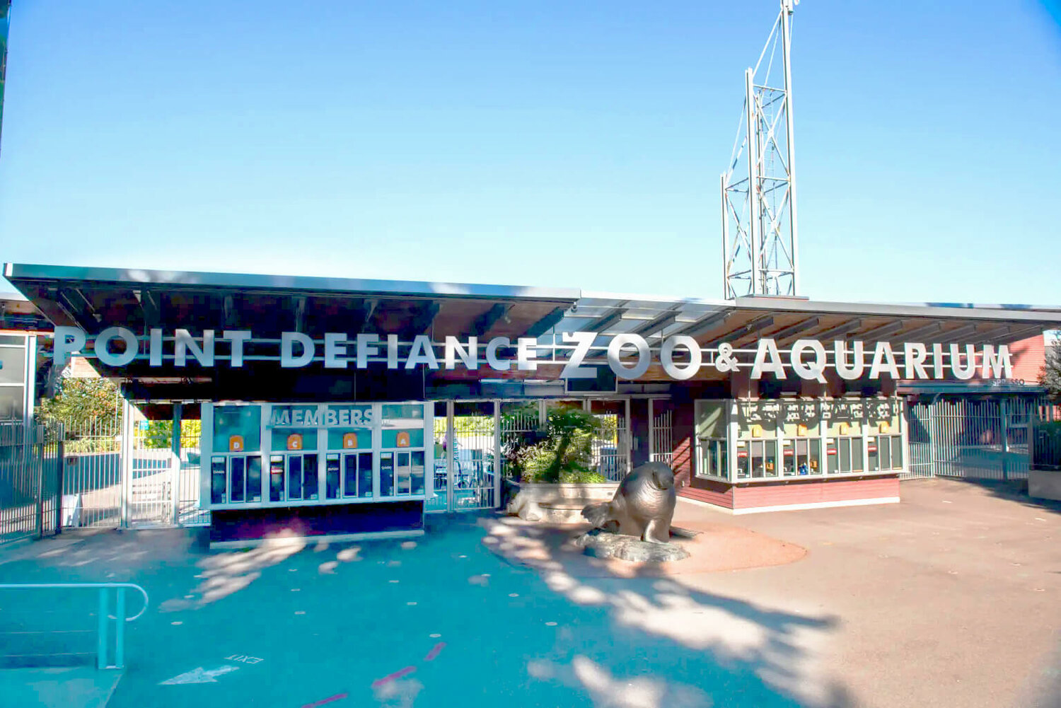 Washington state zoo addresses concerns about ‘special needs’ polar ...