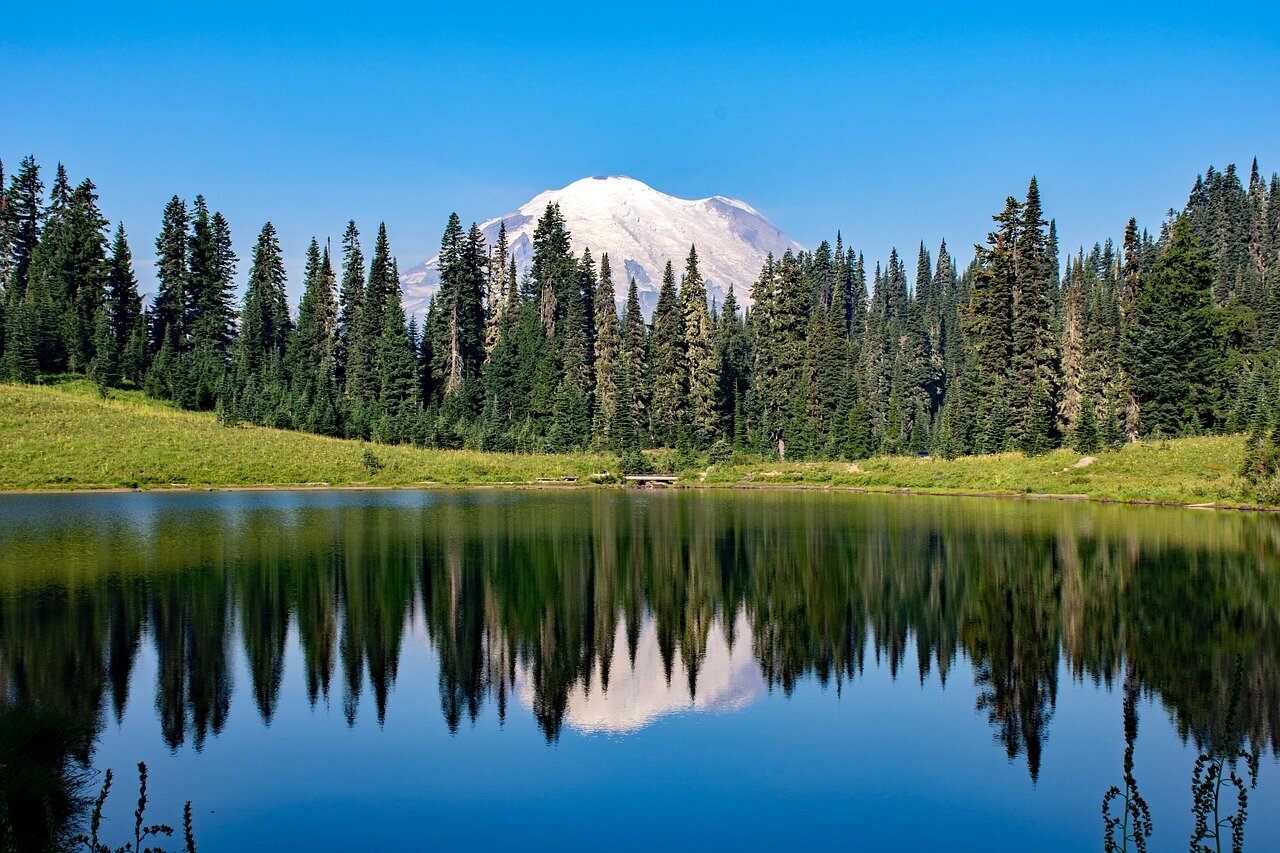 Washington state among best in the country for education, environment ...