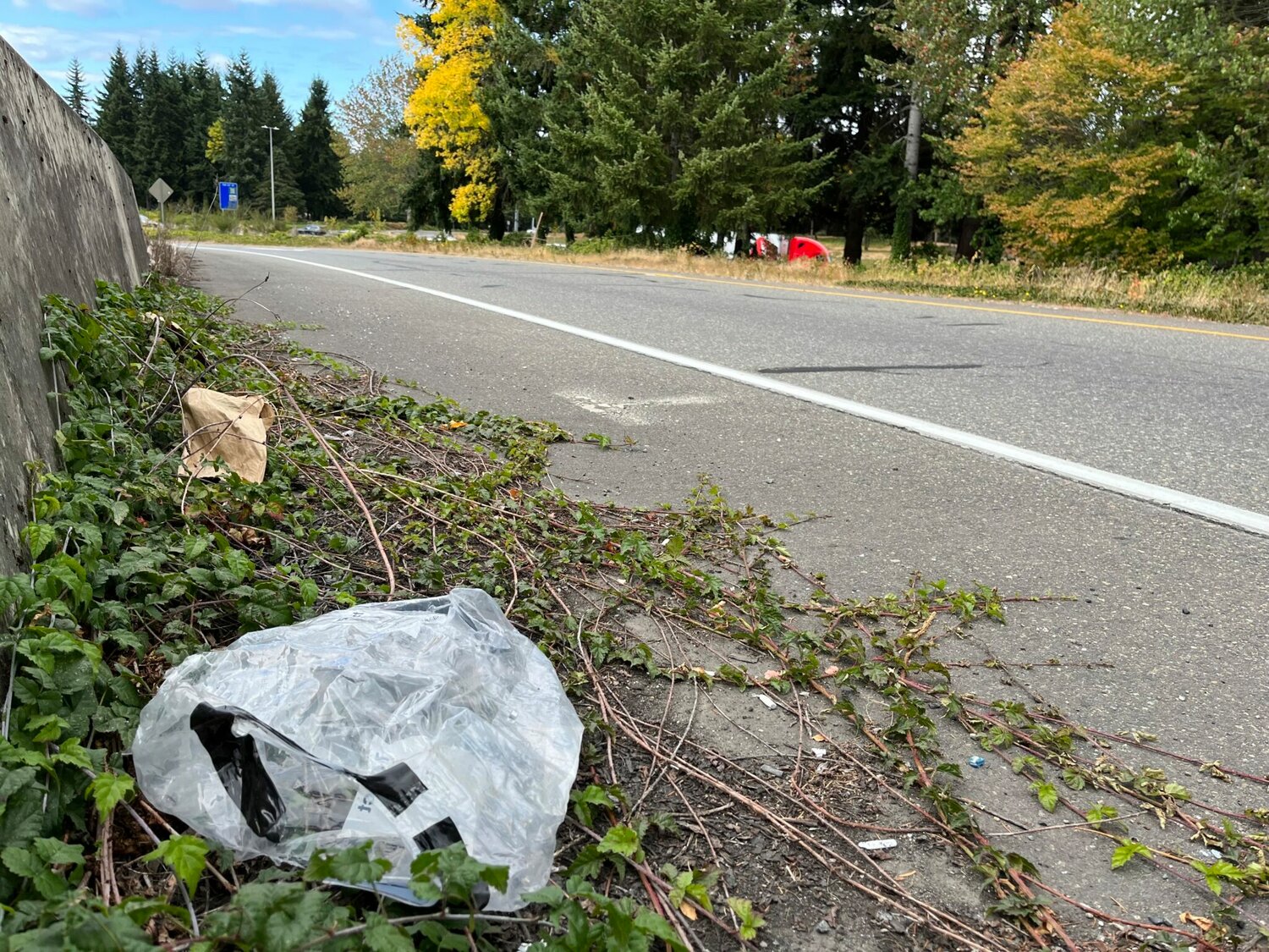New Washington state law increases penalties for litter, delays plastic ...