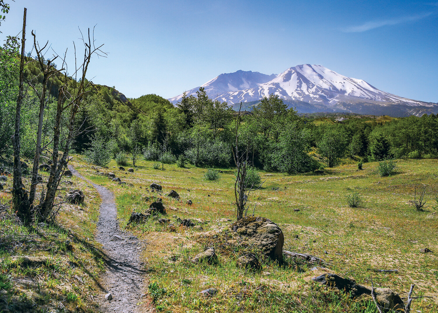 Summer views: Johnston Ridge at Mount St. Helens | The Reflector